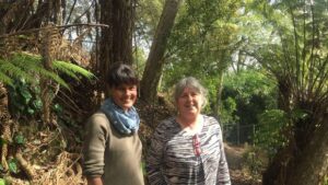 Living punga to become green wall at primary school - Trust Waikato